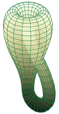 Of Möbius strips and Klein bottles – Galileo's Pendulum